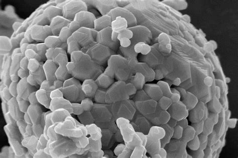 Tungsten Filament Scanning Electron Microscope Sem3200 Advance Scientific Equipment Pvt Ltd