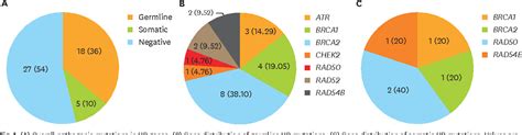 Figure 1 From Germline And Somatic Mutations In Homologous