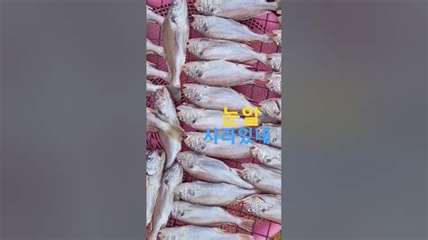 대목아래찌개끓이고꿉으면맛있것네shorts Youtube