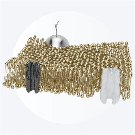 CAUSES OF AGING DEREGULATED NUTRIENT SENSING NOVOS