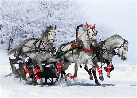 Day 6 Of White Xmas And The Northern Lights Catherines Palace And Troika