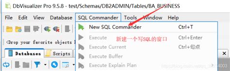 Dbvisualizer的几点使用记录 Csdn博客