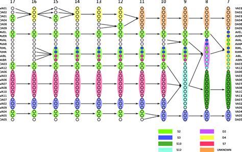 Step By Step Transformation Of The Backward Circuit Automorphism Group
