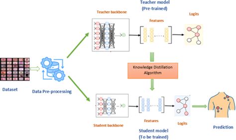Proposed Approach For Classifying Skin Cancer On Lightweight Deep Download Scientific Diagram