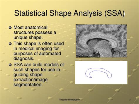 Ppt Nonrigid Shape Correspondence Using Landmark Sliding Insertion