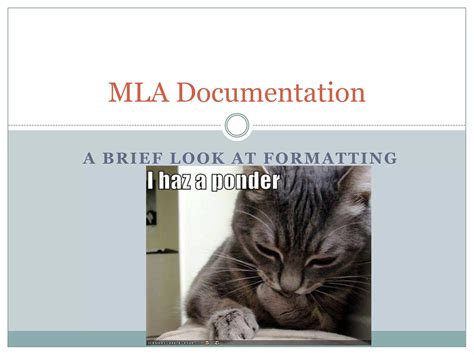 mla 20 documentation[1] ppt