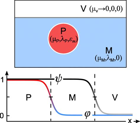 Schematic Representation Of The Phase Field Model Showing The Download Scientific Diagram