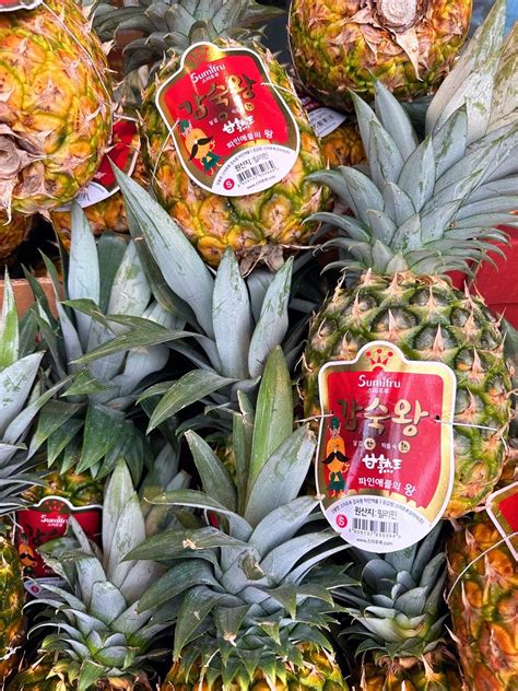 훈이네 파인애플 2980원 델몬트바나나 3980 다발무 4980 귤 한박스 6000 강원특별자치도 원주시 단구동 비즈프로필