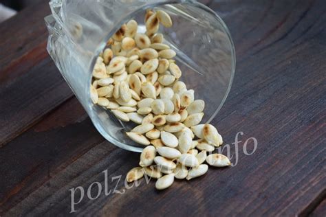 Тыквенные семечки польза и вред