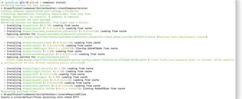 Missing Files When Building Via Composer Install 2969034 Drupal Org