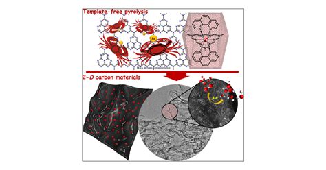 Template Free Synthesis Of Two Dimensional Fen Codoped Carbon Networks As Efficient Oxygen