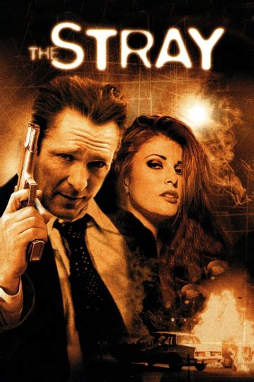 Angie Everhart Movies Moviefone
