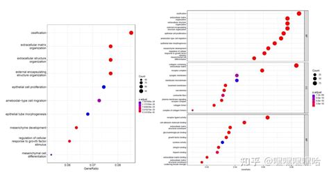 Rna Seq入门实战（六）：go、kegg富集分析与enrichplot超全可视化攻略 知乎