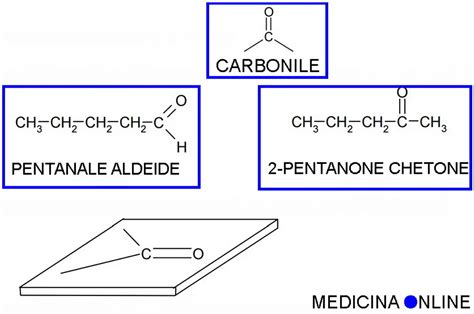 Differenza Tra Aldeidi Chetoni Ed Alcheni Medicina Online
