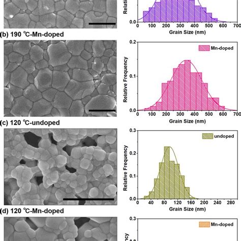 Sem Morphologies And Grain Size Distribution Histograms Of A Wo 190 B