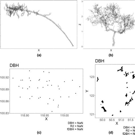 Tree Point Clouds Top And Its Respective Stem Slice At 13 M Height