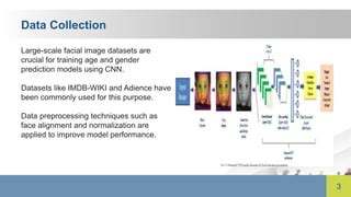 Age And Gender Prediction Using Cnn Pptx Artificial Intelligence Technology Computing