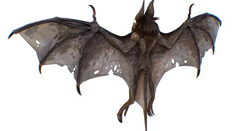 Gray Bat Vampire Mouse Monster 3d Model By Livebook3d