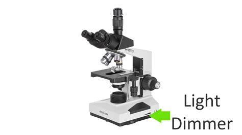 Monocular Compound Light Microscope Parts And Functions Shelly Lighting