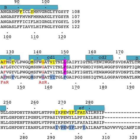 Structure Based Sequence Alignment Of Cyt B Subunits From Various