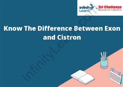 Know The Difference Between Exon And Cistron Infinity Learn By Sri Chaitanya