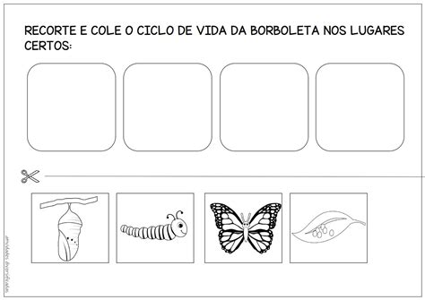 Atividade Ciclo De Vida Da Borboleta Nazaedu