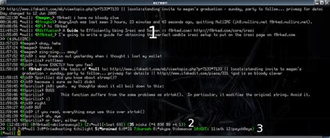A Guide To Efficiently Using Irssi And Screen