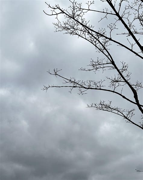 비구름 잔뜩 낀 하늘