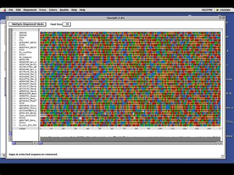Ppt Multiple Sequence Alignment Powerpoint Presentation Free