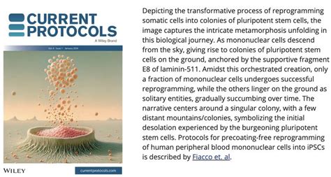 Sara Landi On Linkedin Our Protocol Of Reprogramming Is Finally Out On