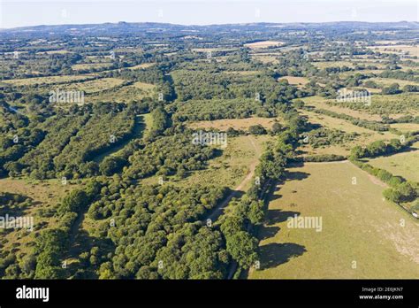 Knepp Estate Sussex Rewilding Project Aerial Image Shows Oak