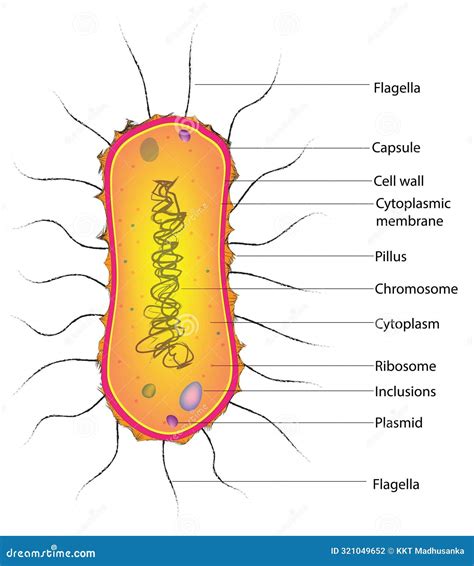 Bacteria With Flagella Under Microscope Generative Ai Illustration