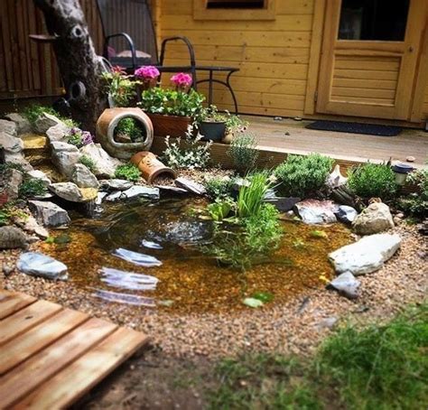 How To Build A Frog Pond With Pictures Artofit