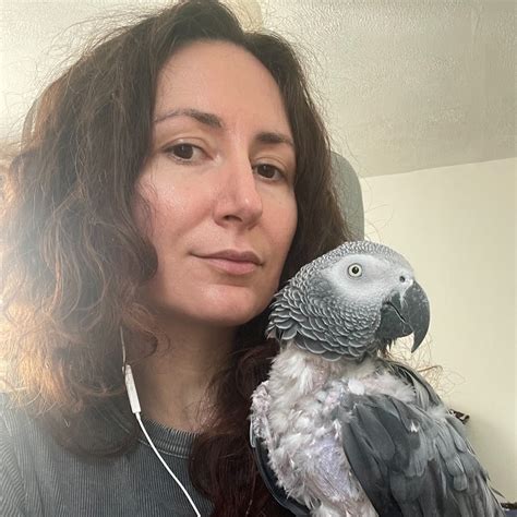 Code And Bird Youtube