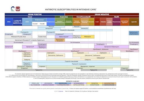 Pin By Jacqueline Blanch On Learning Antibiotic Intensive Care Antibiotics Chart
