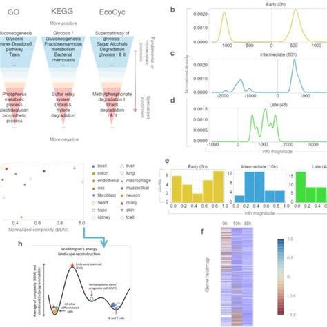 A K ­ Medoid Clustering Of Transcription Factors By Download