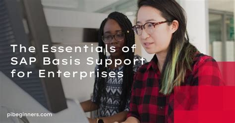The Essentials Of Sap Basis Support For Enterprises