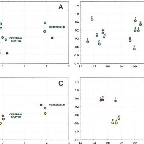 Multidimensional Scaling Plots Of Gene Expression Differences Download Scientific Diagram