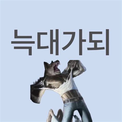 더쿠 트위터에서 이런 서양감성 늑대짤들 왜 유행하는지 아는 덬 있어