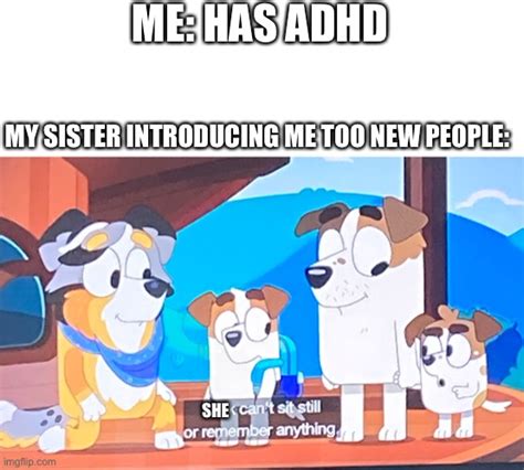 Pixar Bluey Memes Imgflip Vrogue Co