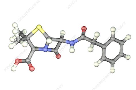 Penicillin Antibiotic Molecular Model Stock Image F024 3130 Science Photo Library