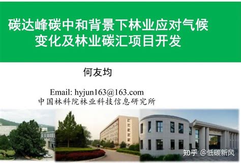 179页ppt！林业碳汇深度解读，最全面的数据分析（附下载） 知乎