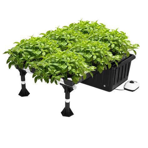 Ebb And Flow Hydroponic System 20 Site Gorilla Grow Tent