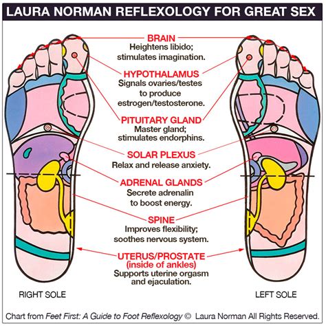Laura Norman DIY Reflexology 7 Points For Awesome Sex