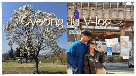 우리의 첫 벚꽃 아닌 벚꽃여행🌸 월정교경주맛집커플브이로그황리단길 Youtube