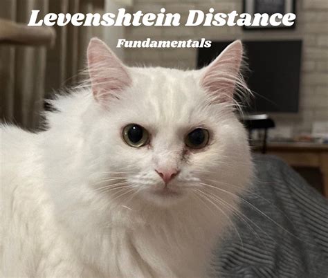 Understanding The Levenshtein Distance Equation For Beginners By