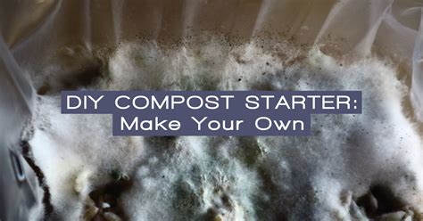 Diy Compost Starter Step By Step Guide To Making Your Own