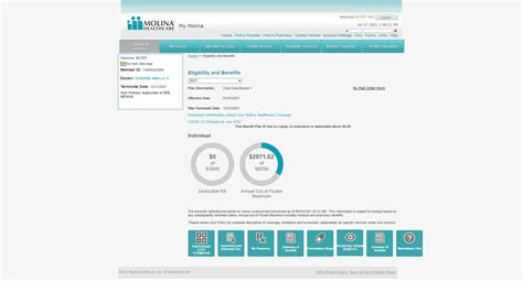 Molina Website Development By J Hammock And Associates Llc