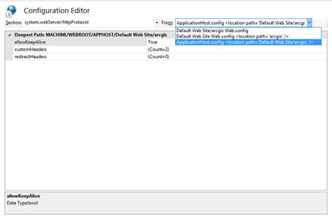 Javascript Cors Issue Arcgis Iis Cross Origin Resource Sharing Geographic Information