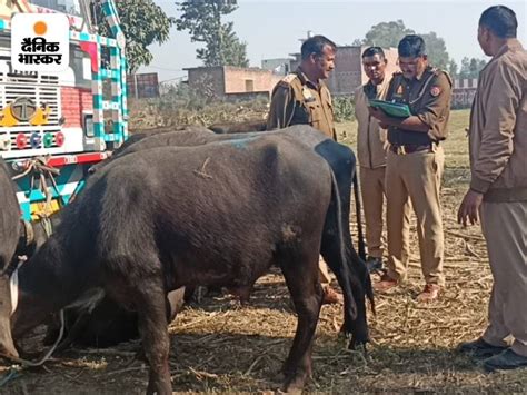 Moradabad Police Caught Container During Checking On Highway 50